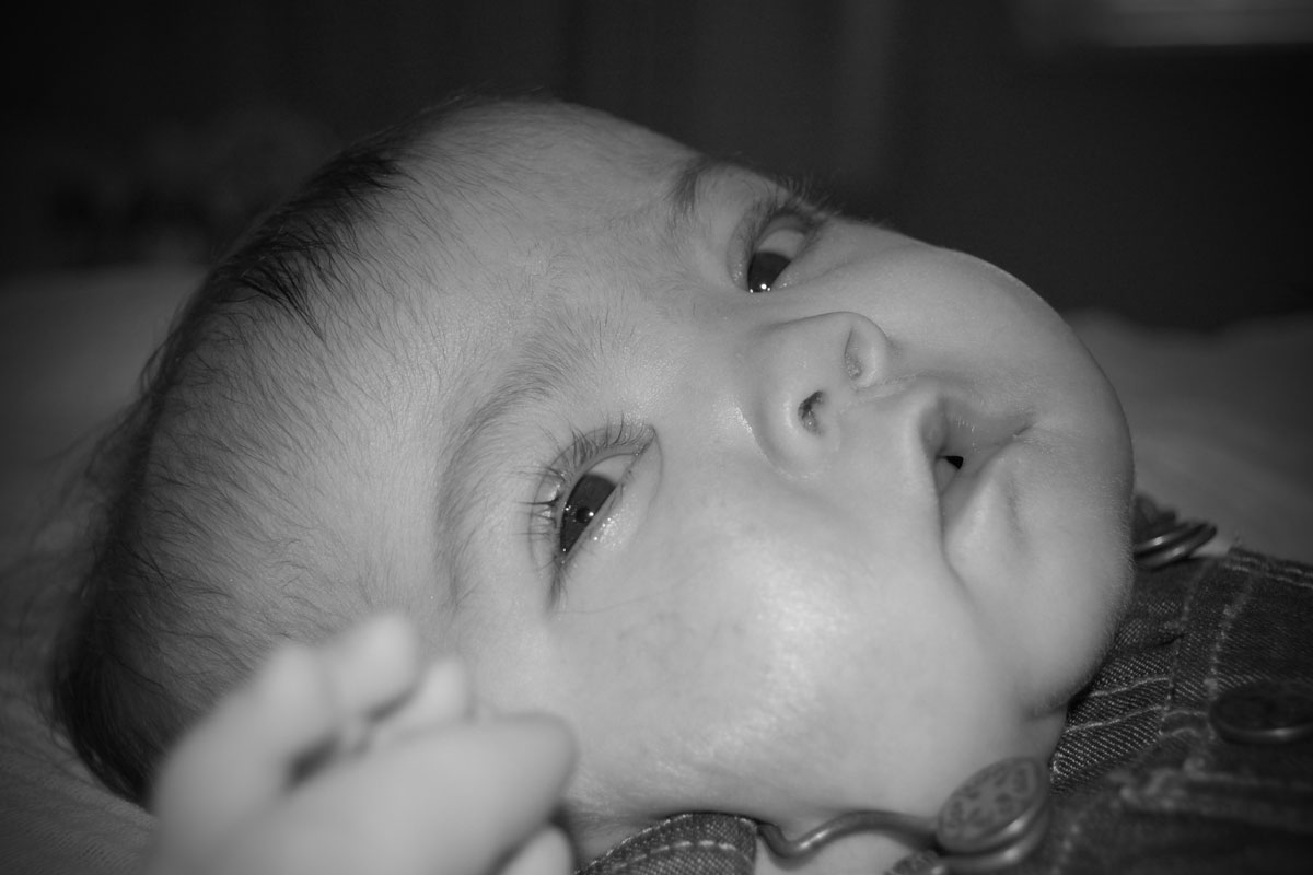 A Heart Like Ava - CCRC